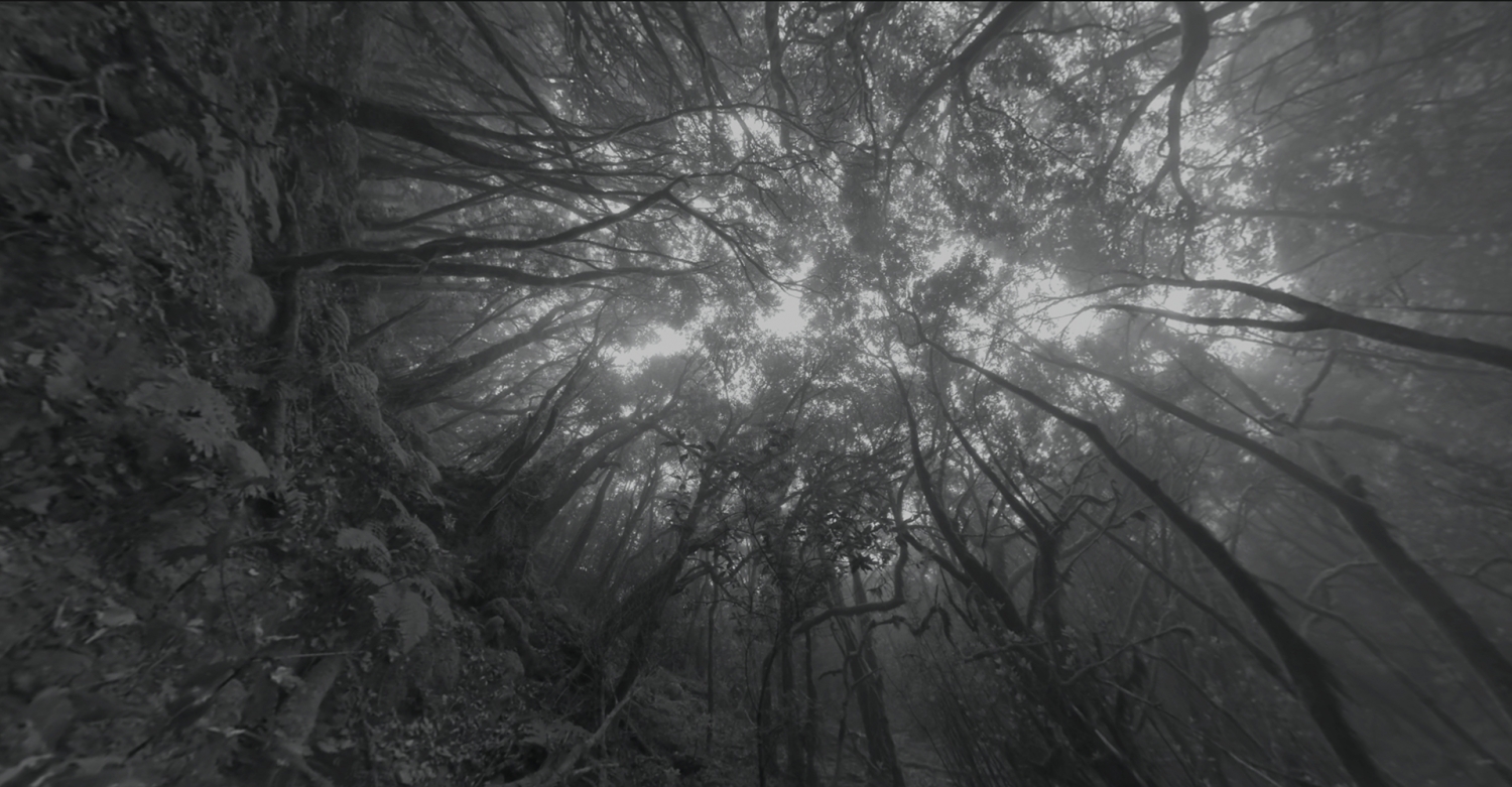 Visual Koan 360° - meditative spherical immersive VR Video art rescent ...