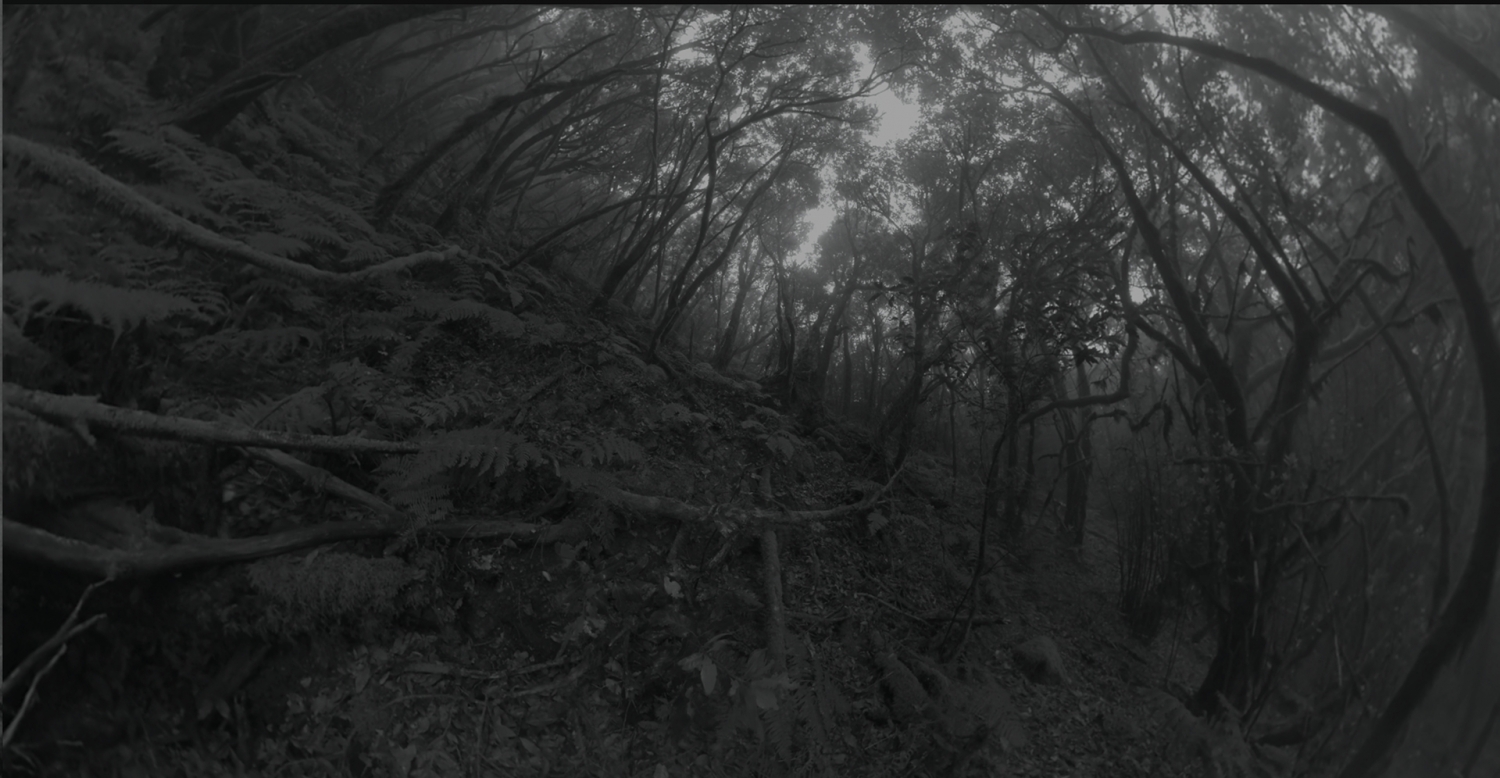 Visual Koan 360° - meditative spherical immersive VR Video art rescent ...